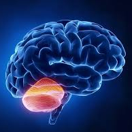 Living Beyond the Diagnosis – Coping with Multiple System Atrophy (MSA)